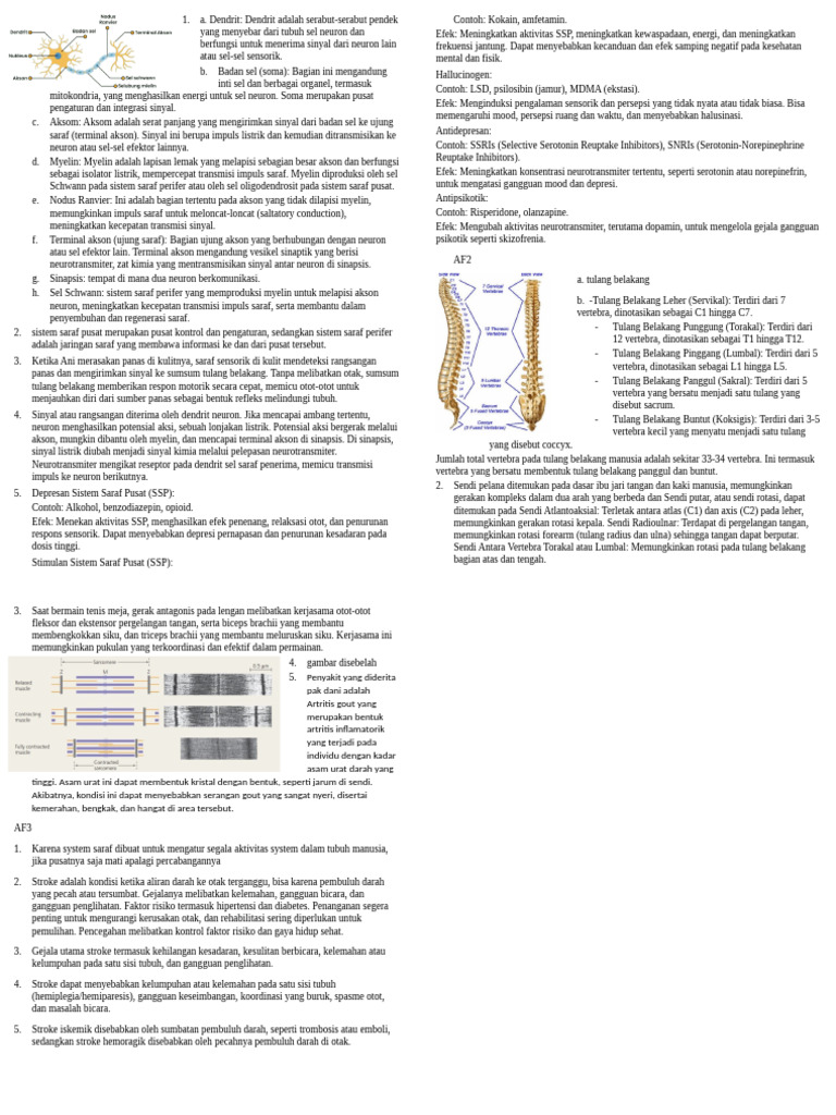 bio bab 2 af1-3 | PDF