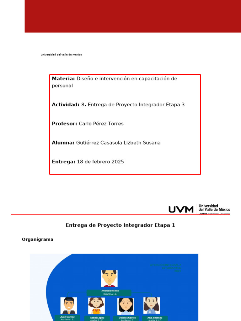 Actividad 8 Proyecto Integrador Estapa 3 | PDF | Liderazgo | Comunicación