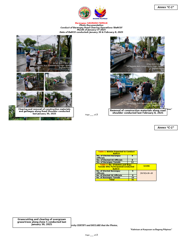Annex C-1_Photo Documentation _Barangay BaRCO Monthly Monitoring Report Template with BSKO ...