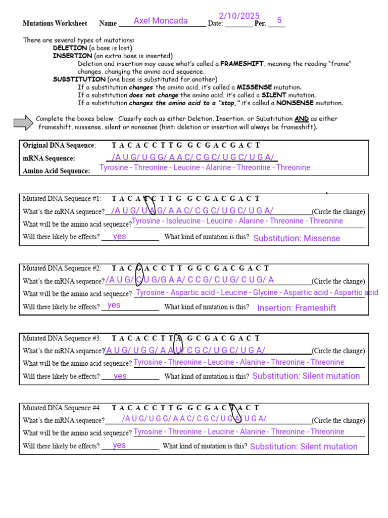 Kami Export - MutationsWS | PDF | Point Mutation | Hemoglobin