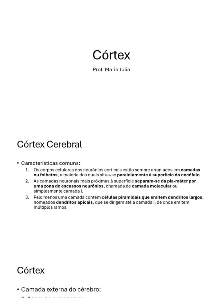 Cortex | PDF
