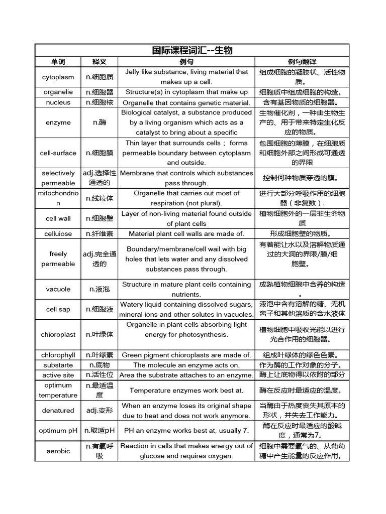 Biology Vocabulary for International Curriculum | PDF | Heart | Heart Valve