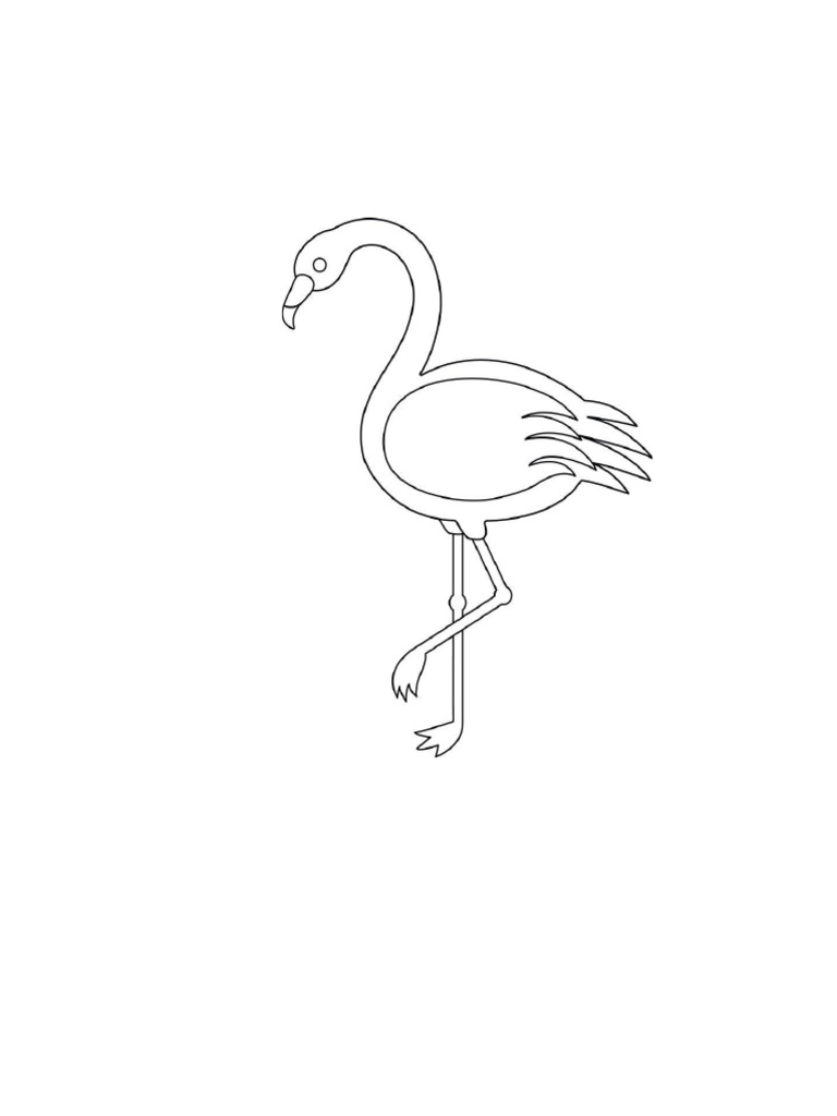 Flamingo | PDF