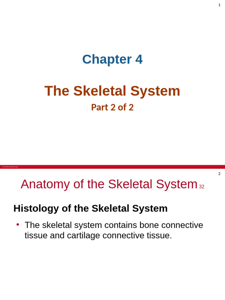 CHP 4 Skeletal Part 2 | PDF | Bone | Knee