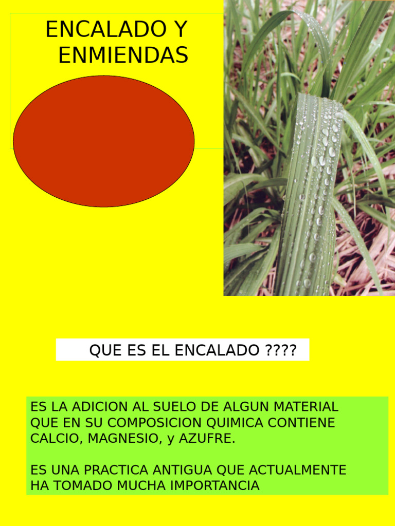 Encalado y Enmiendas | PDF | Suelo | Calcio