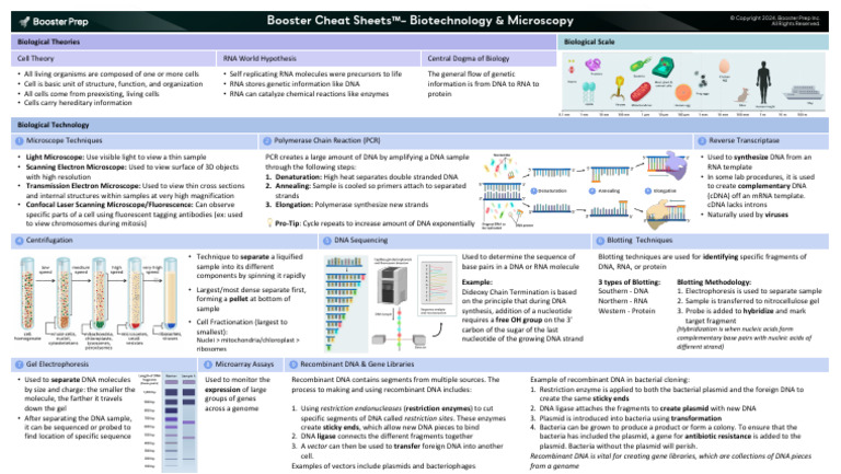 Booster Cheat Sheets - 10) Biotechnology & Micros | PDF | Dna ...