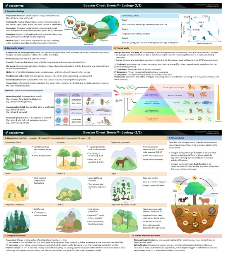 Ecology Cheat Sheet Overview | PDF | Ecology | Grassland