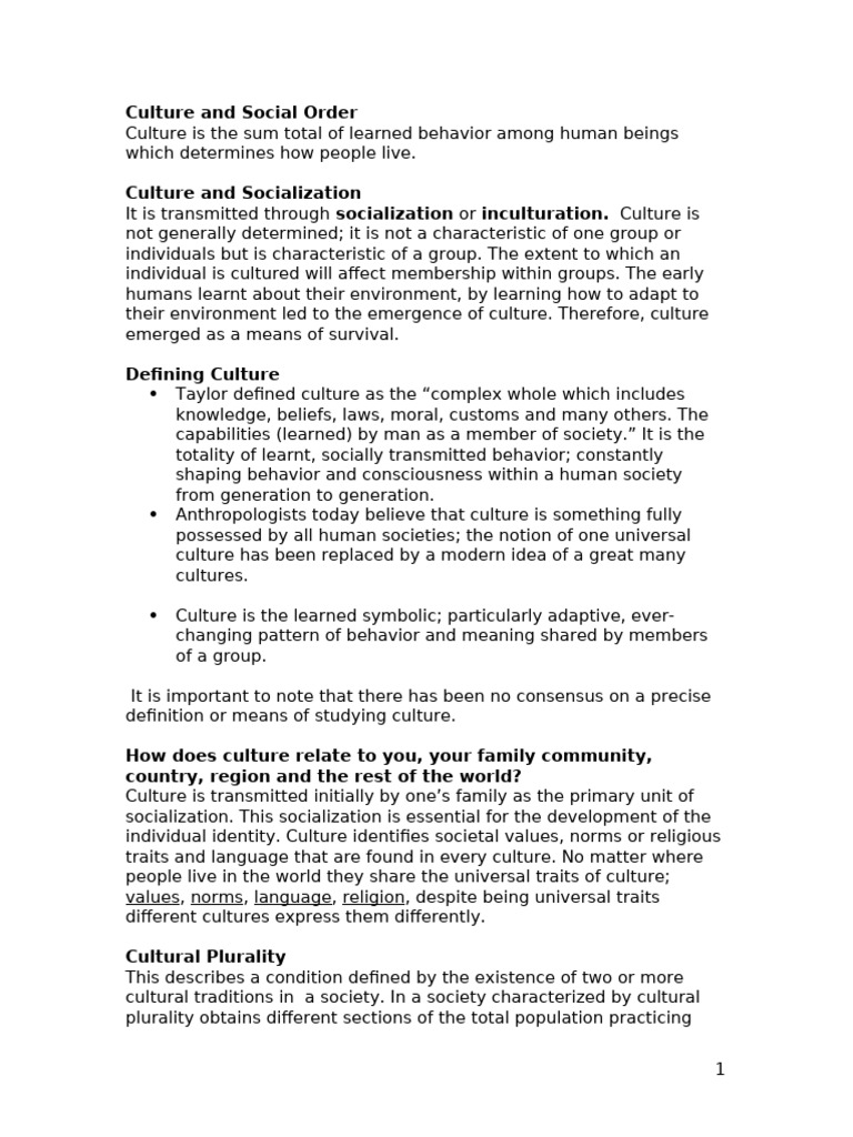 Understanding Culture and Social Order | PDF | Socialization | Social ...