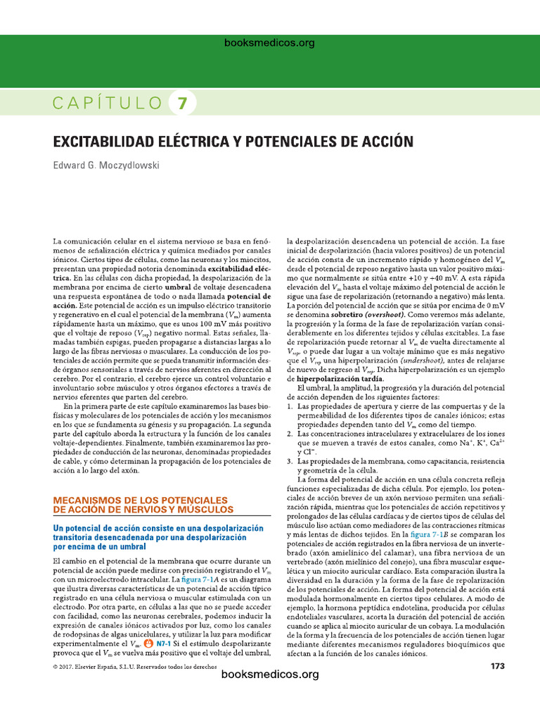Excitabilidad y Potencial de Acción | PDF