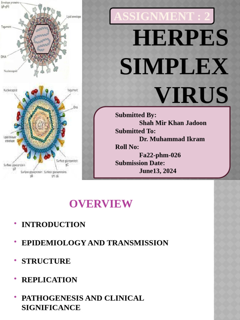 Herpes Simplex Virus Overview and Management | PDF | Virus | Viral Diseases