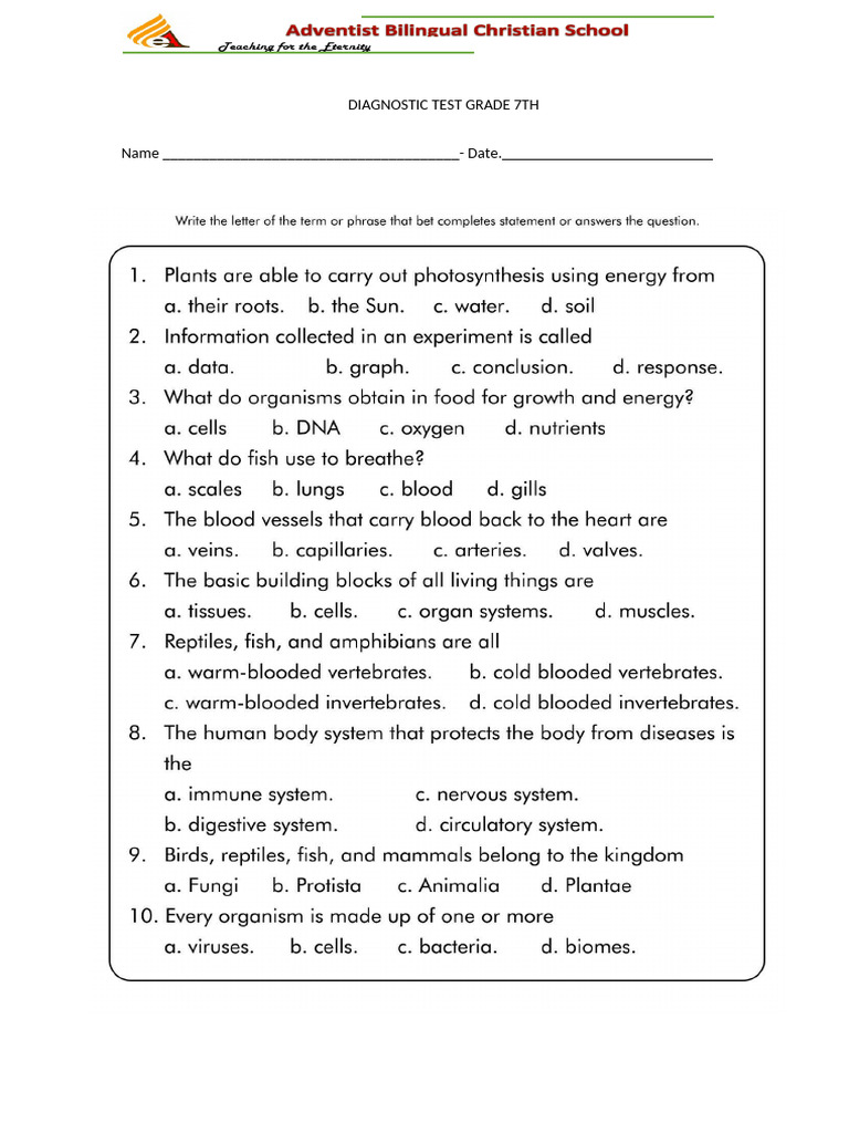 Diagnostic Test Grade 7 | PDF