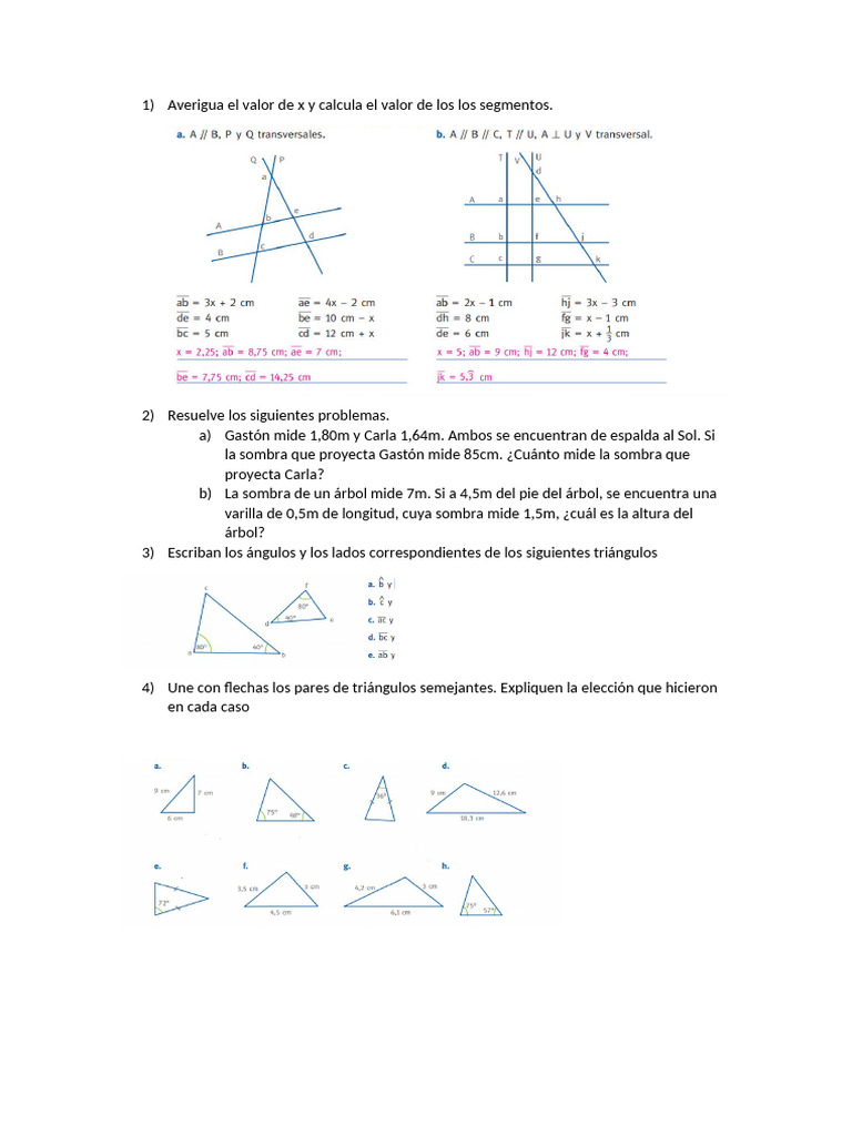 Trabajo Práctico de Semejanza y Teorema de Thales. | PDF