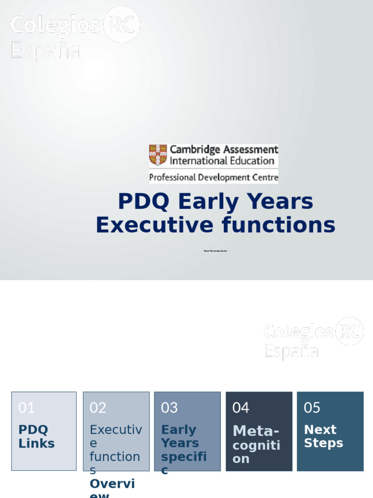 Executive Functions Summary | PDF | Learning | Metacognition