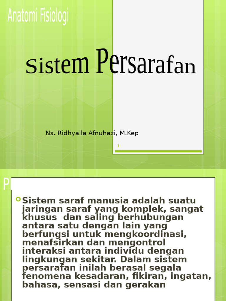 Konsep Anatomi Dan Fisiologi Sistem Persyarafan | PDF