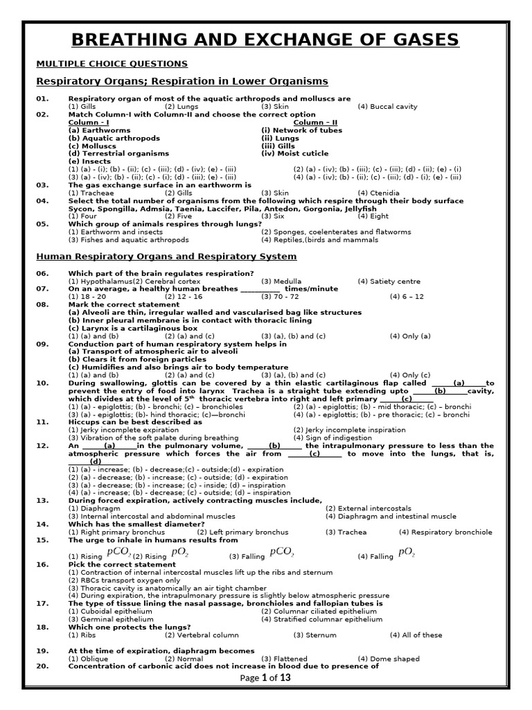 Breathing and Exchange of Gases | PDF | Respiratory System | Lung