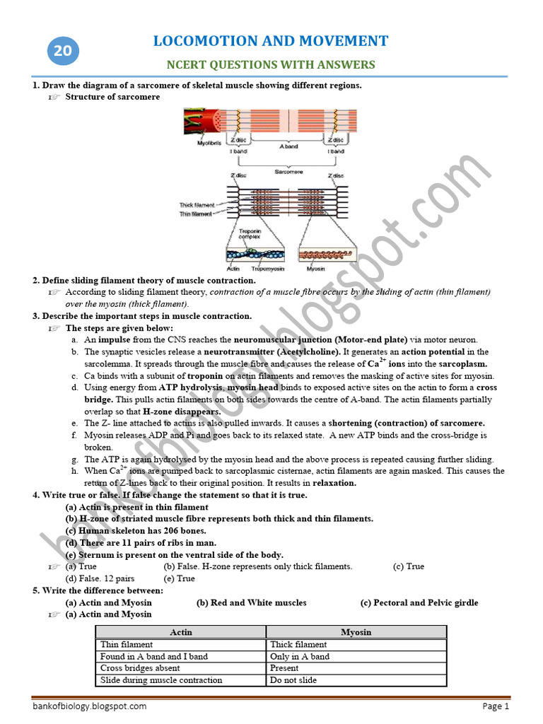 20 locomotion n movement - ncert questions with answers(encrypted ...