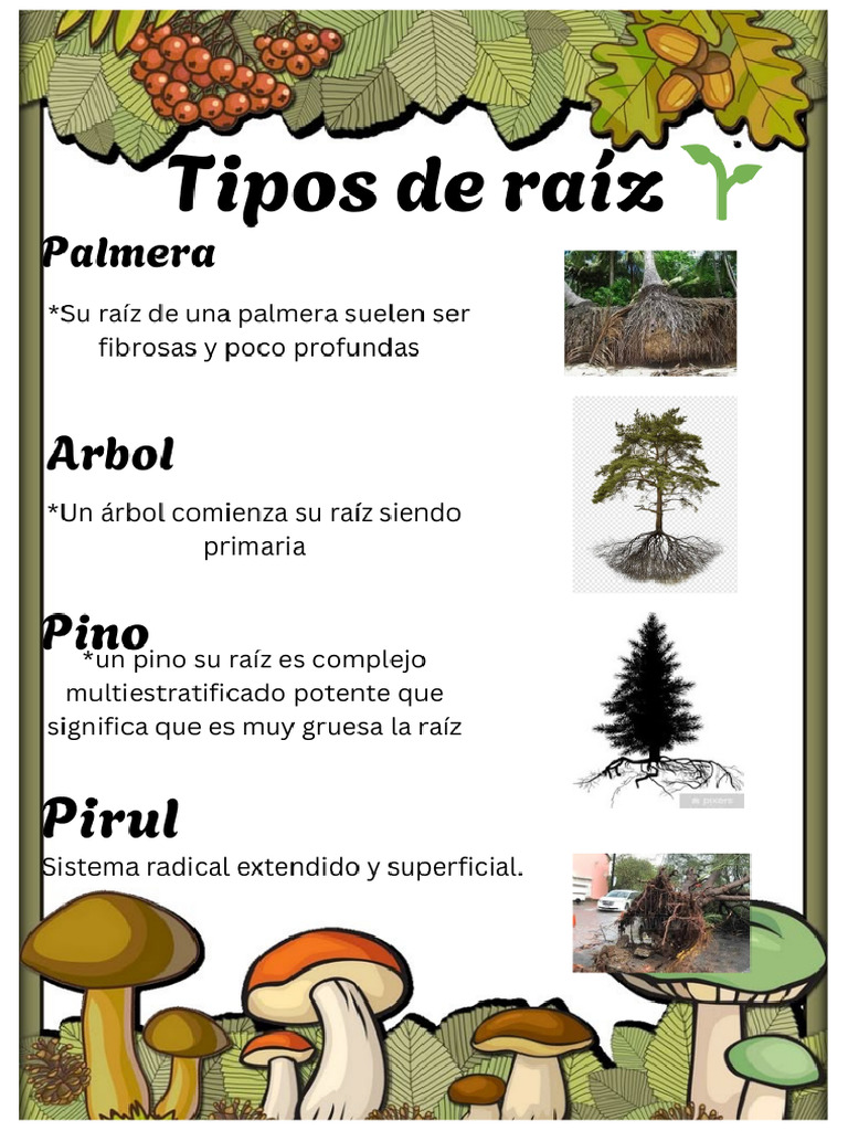 PDF File 20250218 063132 | PDF