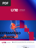 Anatomía del Maléolo Interno del Tobillo | PDF | Tobillo | Anatomía del ...