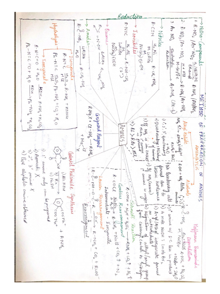 Amines Mindmap | PDF