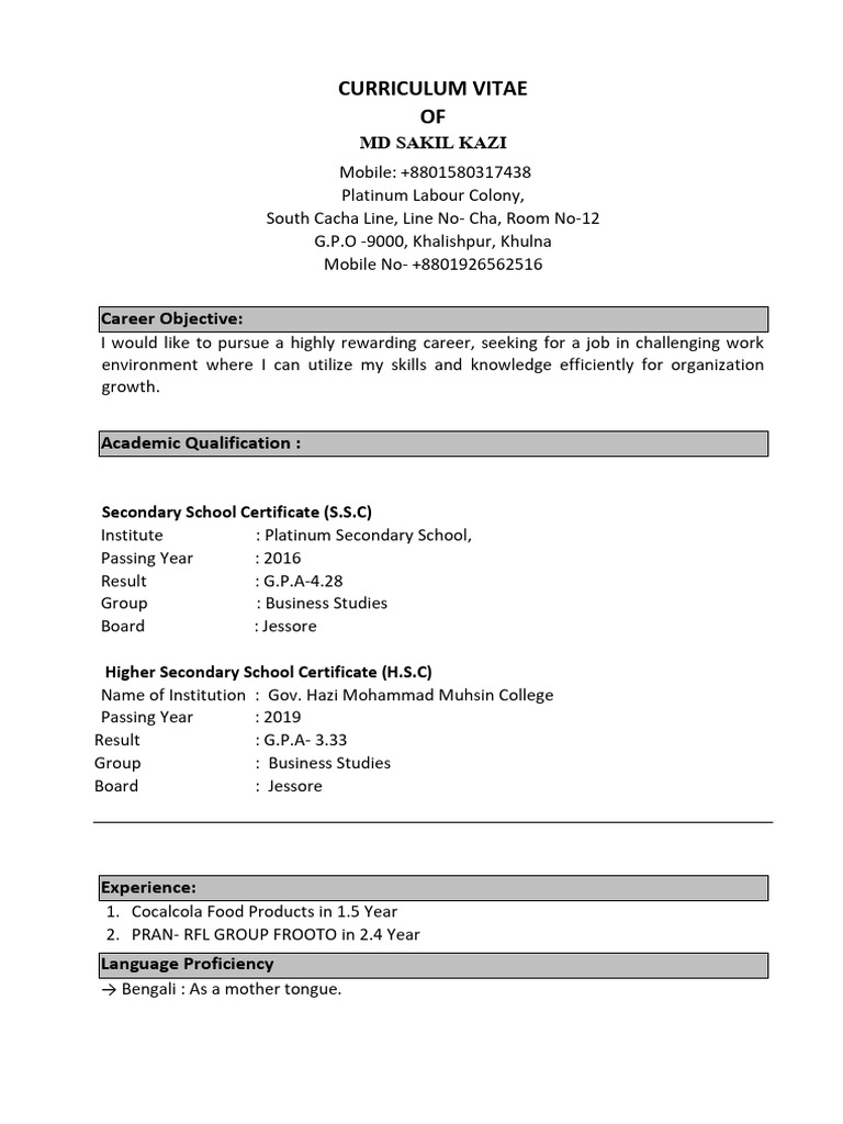 MD Sakil Kazi CV | PDF