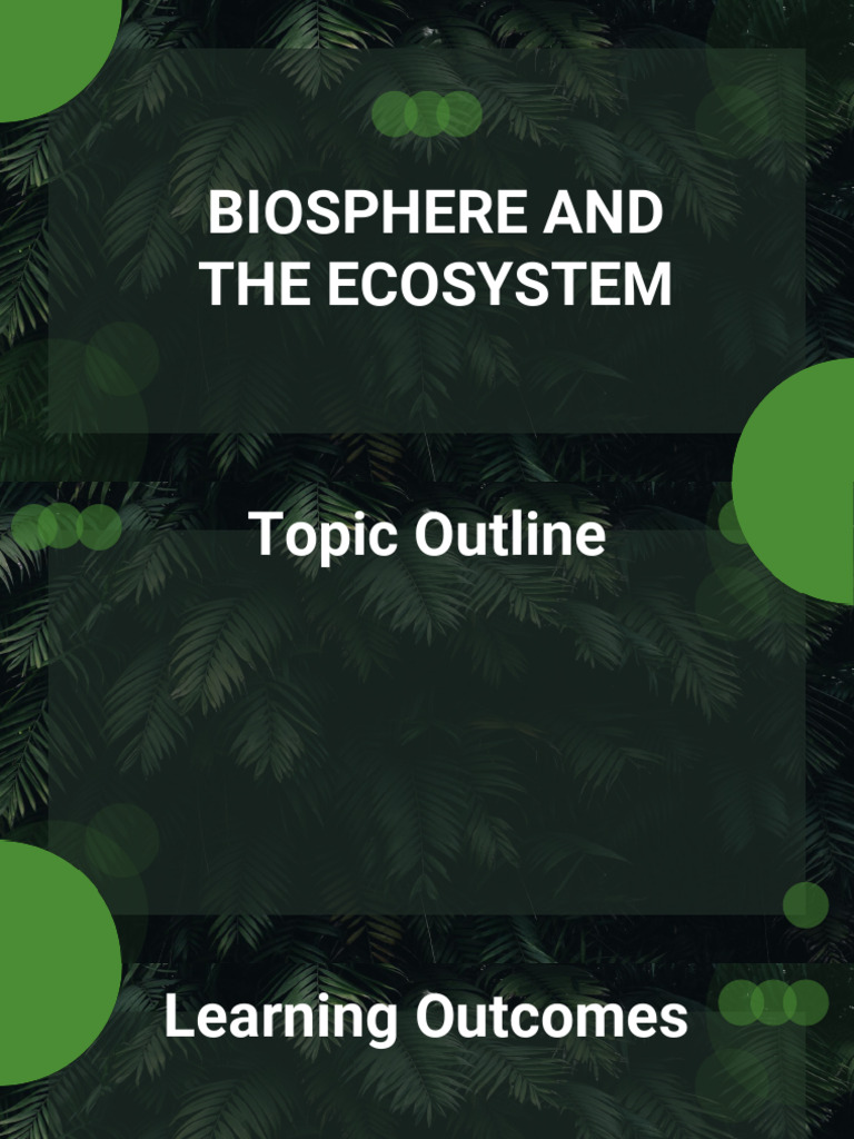 Ecosystem and Biosphere Overview | PDF | Food Web | Forests