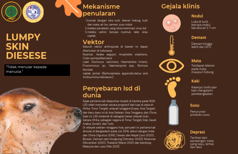 Green Illustrative Mental Health Brochure | PDF