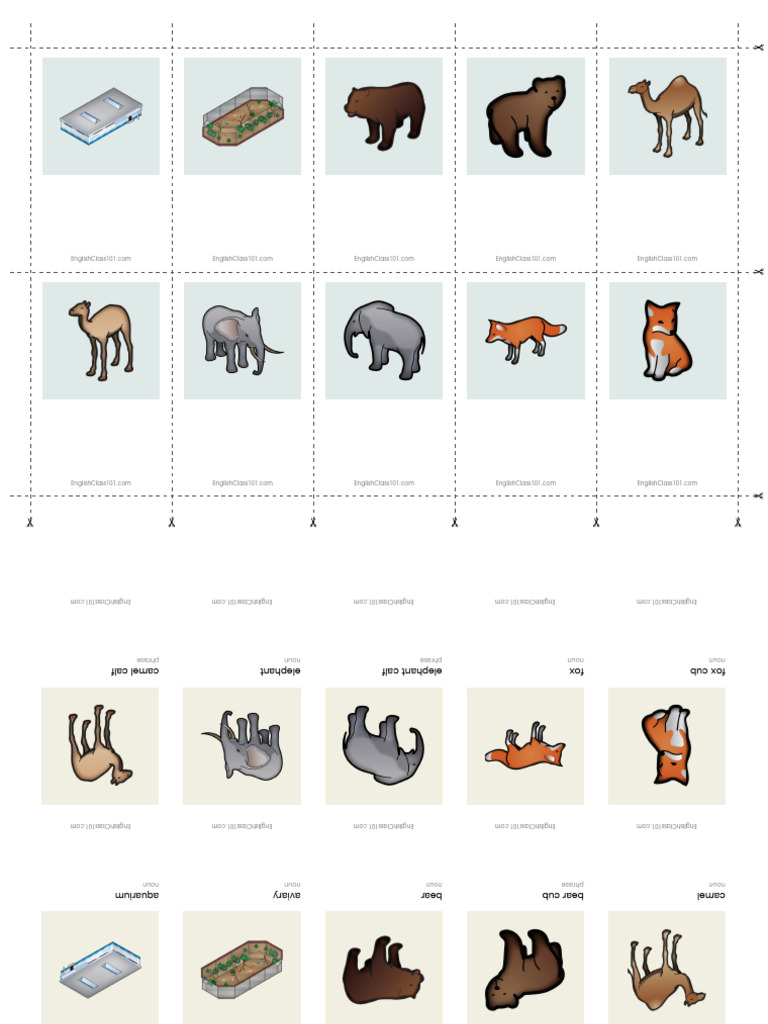 English Zoo | PDF | Zoology