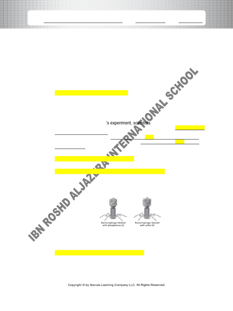 Biology Quiz: Gene & DNA Basics | PDF | Dna | Dna Replication