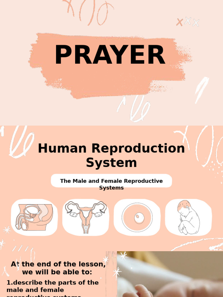Understanding Human Reproductive Systems | PDF | Reproductive System ...