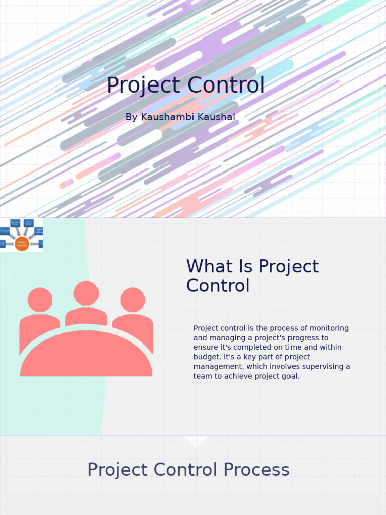 Project Control | PDF