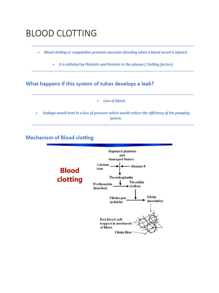 Blood Clotting | PDF