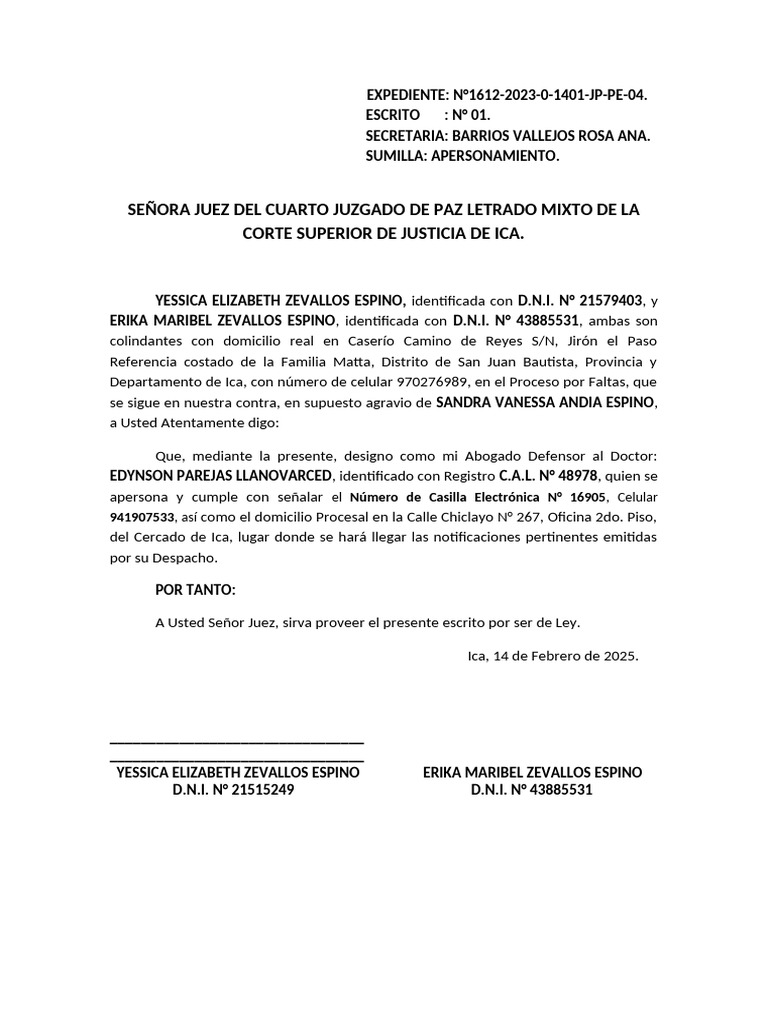 APERSONAMIENTO JUZGADO DE PAZ LETRADO - YESSICA ELIZABETH ZEVALLOS ...