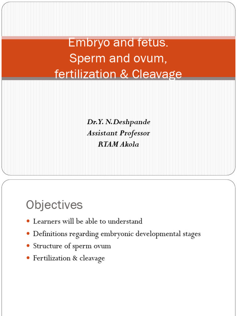 Embryo & Fetus Sperm and ovum, fertilization. Cleavage | PDF | Biology ...
