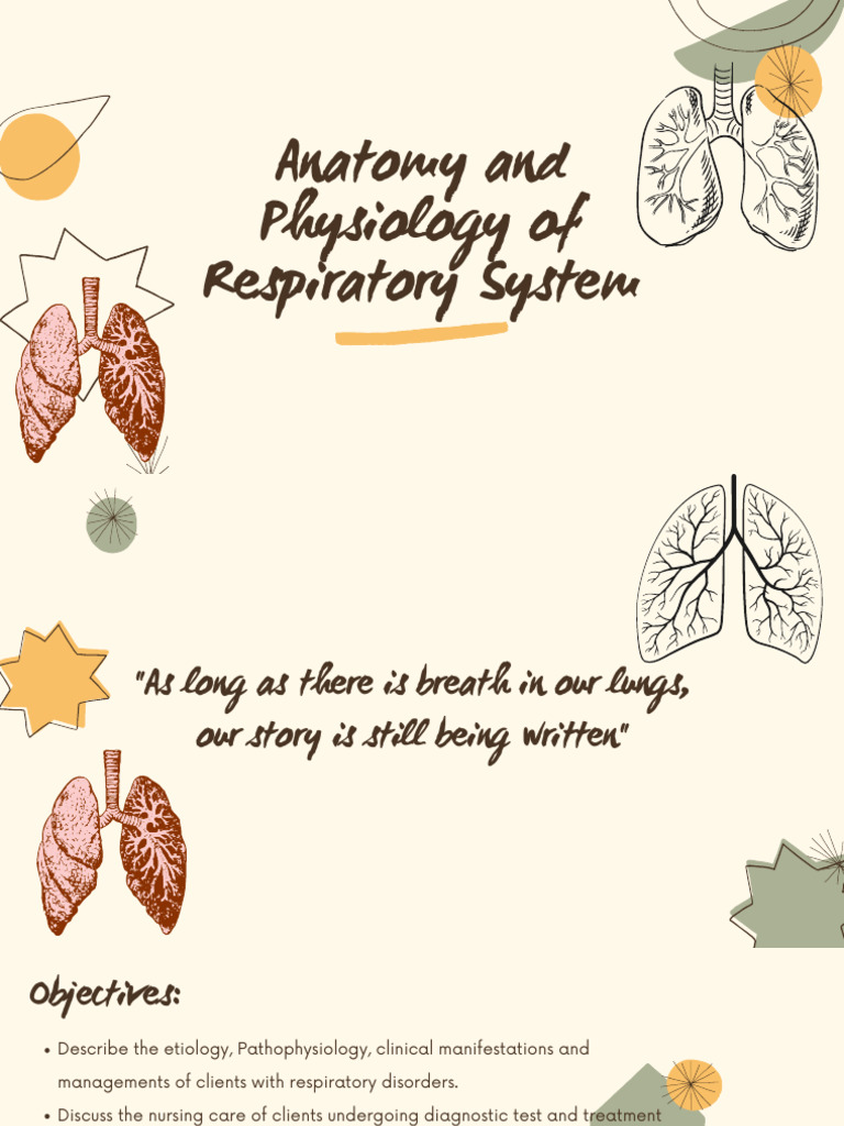 Anatomy-And-Physiology - Respi | PDF | Respiratory Tract | Respiratory System