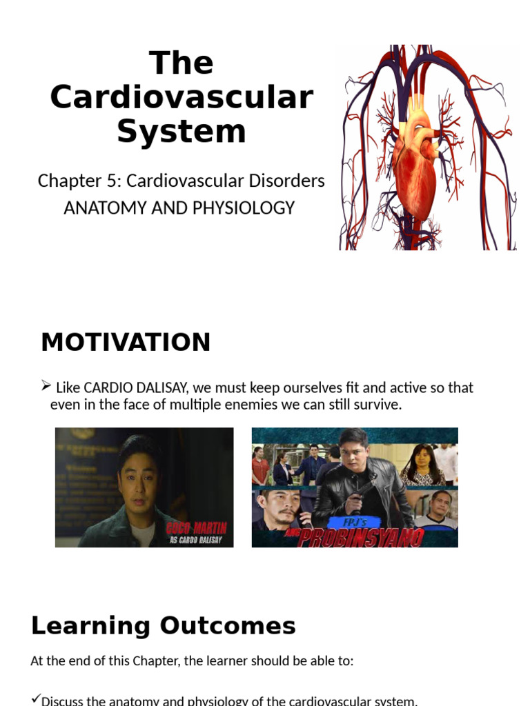 Chapter 5 - AnaPhysio | PDF | Heart Valve | Heart