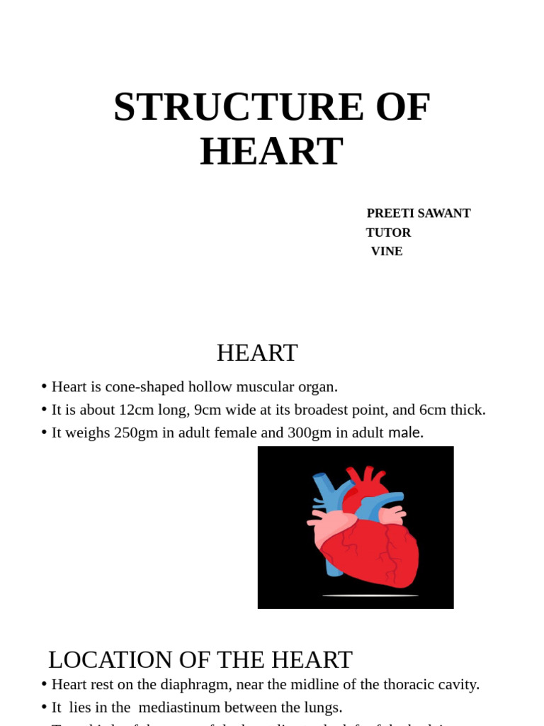 heart 1 | PDF | Heart Valve | Heart