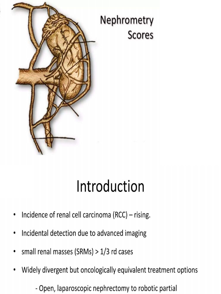 Nephrometry Scores | PDF