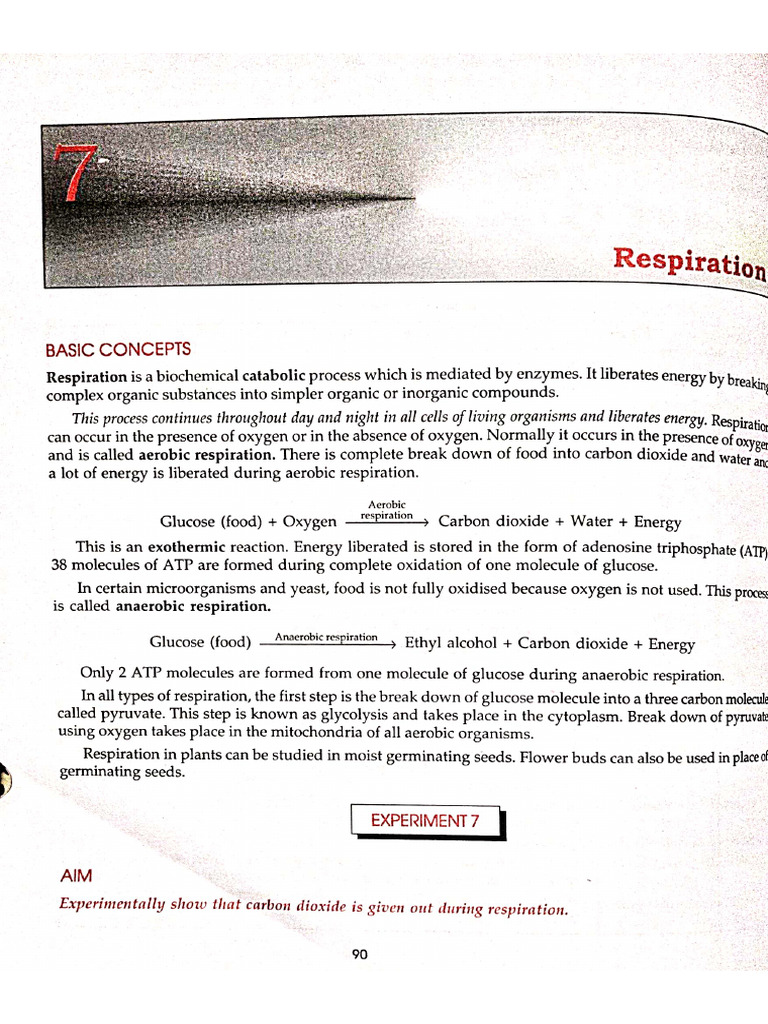 Experiment To Show Carbon Dioxide Is Released During Respiration | PDF
