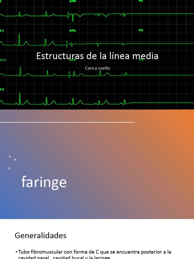 Estructuras Linea Medua | PDF