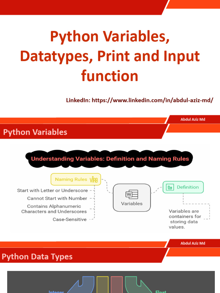 Python Variables and Functions Guide | PDF