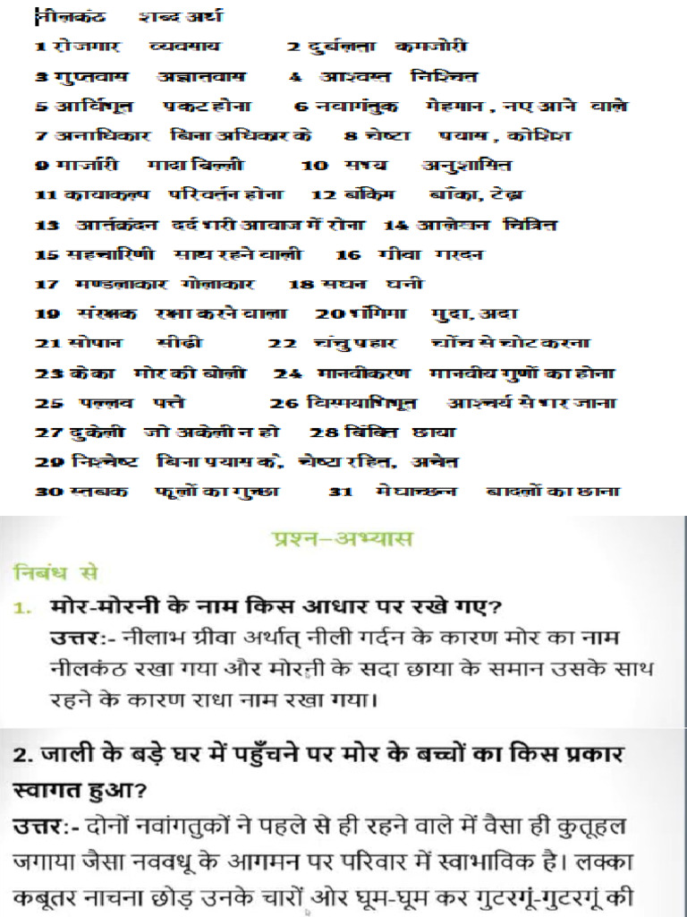 Neelkanth Vii | PDF