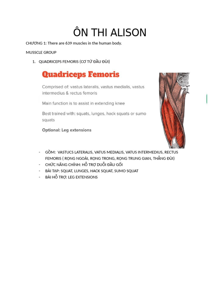 Ôn Thi Alison | PDF