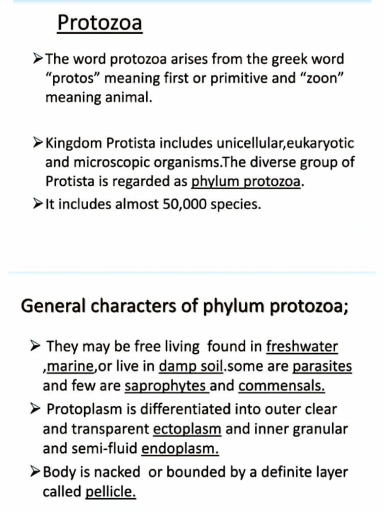 ZOOLOGY4,5, Detail Protozoa, Classification of Protozoa4,5 Lecture | PDF
