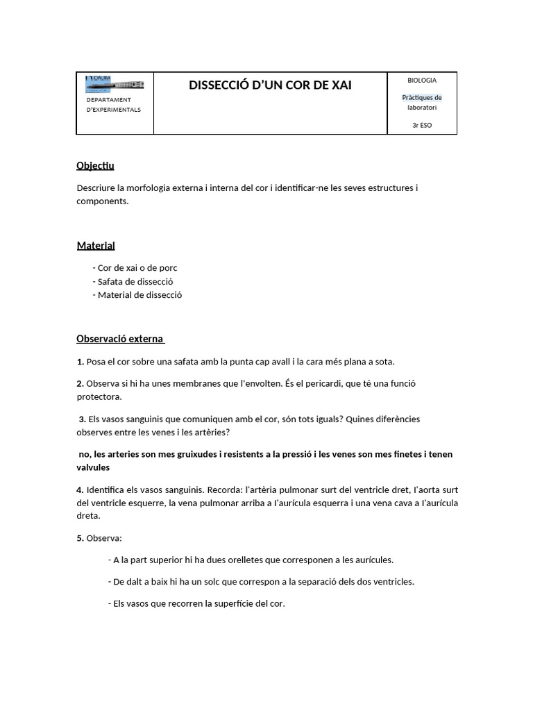 Irene Cotelea - Dissecció Cor | PDF