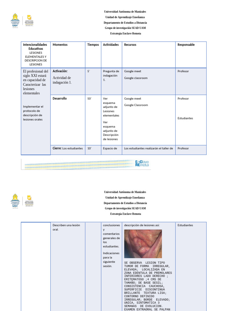 ESCALETA Y GUION DE LESIONES ELEMENTALES Y DESCRIPCION DE LESIONES 2020 | PDF | Piel ...