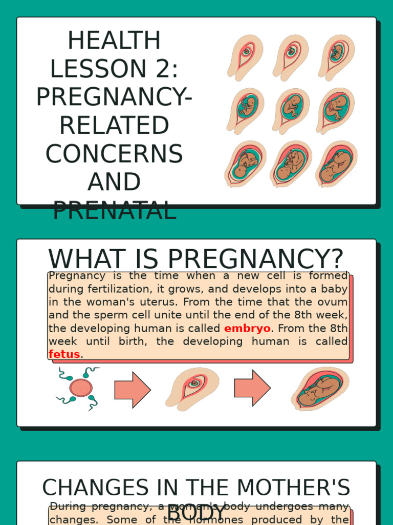 Green Pink Handdrawn Style Journey Through The Stages of Pregnancy ...