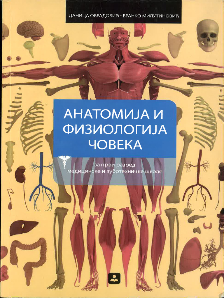 Literatura - Anatomija I Fiziologija I | PDF