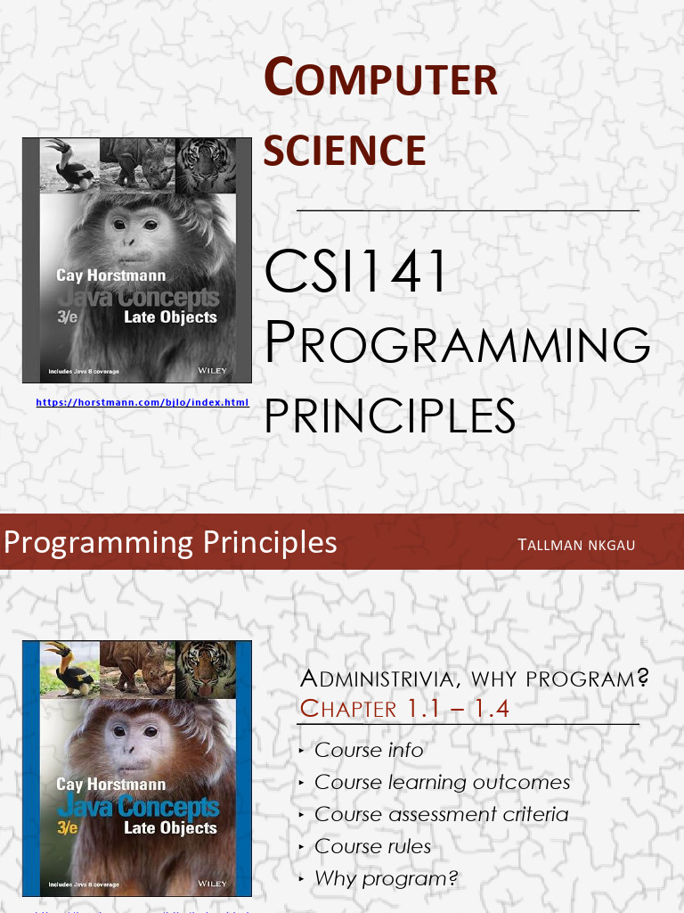 Lecture1-2024 | PDF | Computer Programming | Academic Dishonesty