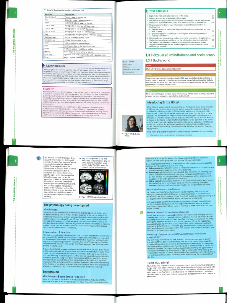 Review 3- Holzel (2) | PDF