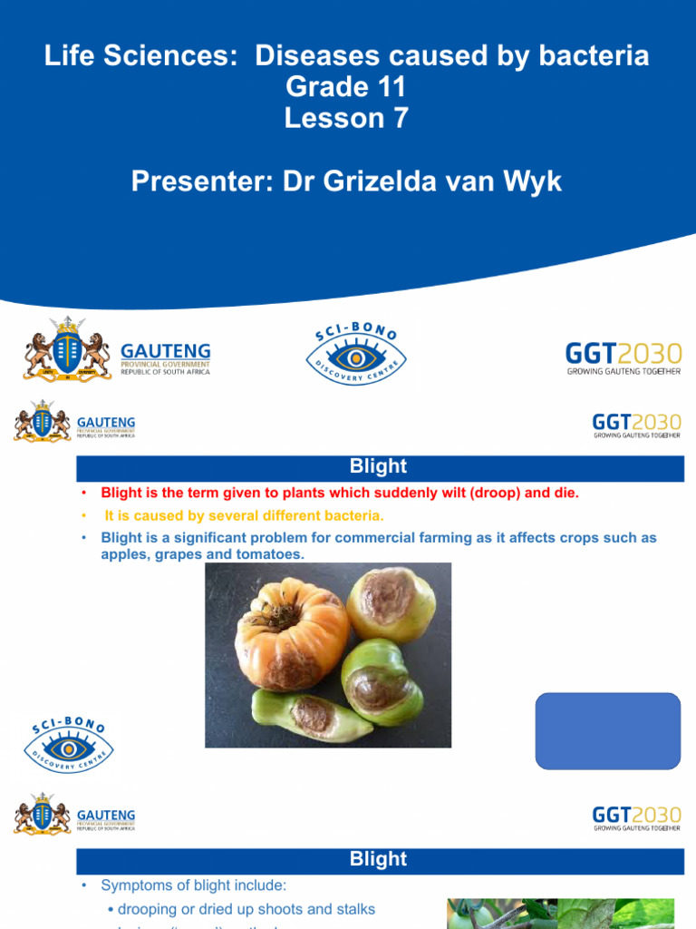 Life Sciences Gr.11 Lesson 7 Diseases Caused by Bacteria | PDF ...